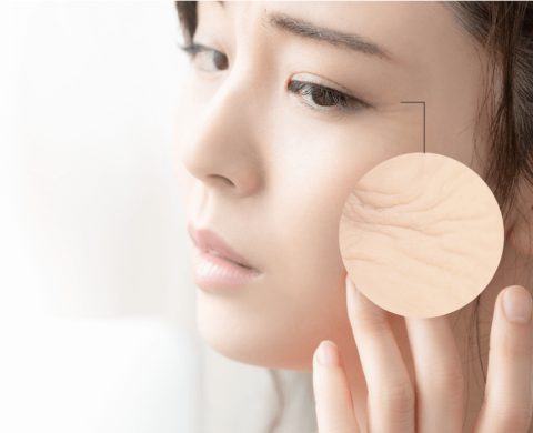 Dr Dermis | SKIN TYPES